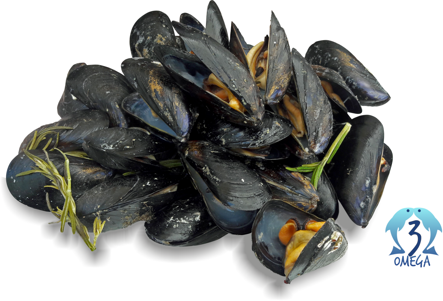 Mexilhão INTEIRO COZIDO – Mar Ibérica